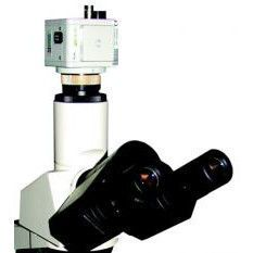 Seiler Precision Microscopes - Seiler Microlux IV Trinocular Head ...