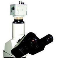 Microscopy Models, Products and Specs | MedWrench