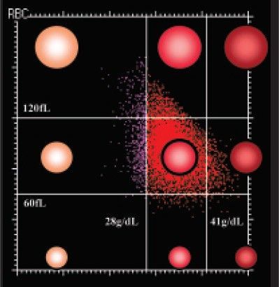 Siemens - ADVIA 2120i Community, Manuals and Specifications | MedWrench