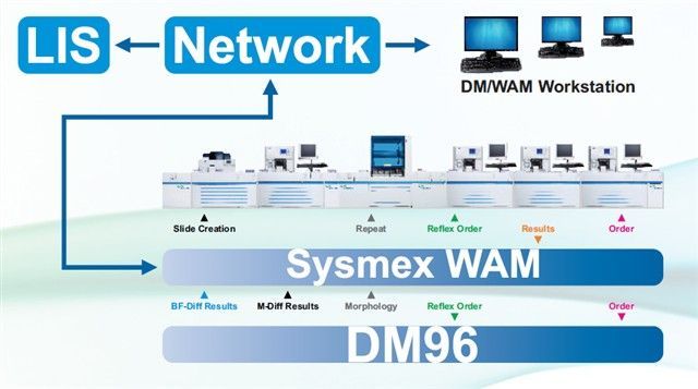 Sysmex - CellaVision DM96 Community, Manuals and Specifications | MedWrench