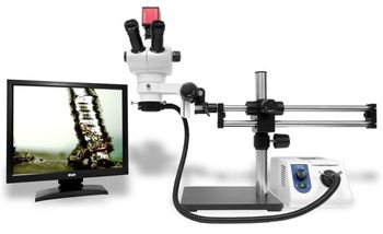 Request a Quote for Scienscope Microscopes - Scienscope NZ-PK7-AN