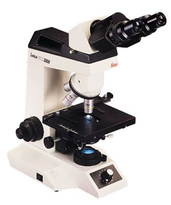 Микроскоп 2000 – Telegraph